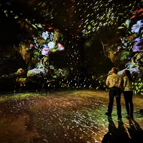 Frameless - 'Where Art Breaks Free' | Autograph