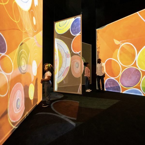 Frameless - 'Where Art Breaks Free' | Autograph